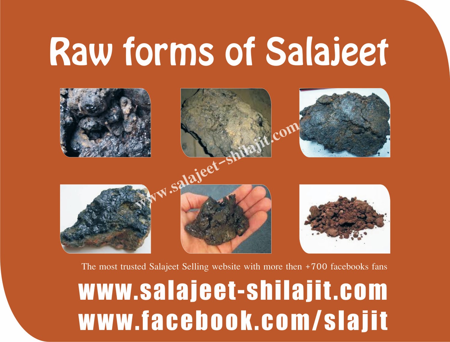 Karakorum Himalayan Salajeet/Shilajit Gilgit Baltistan: Raw forms of ...