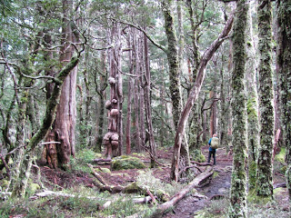 M&M Smith: TASMANIA : DAY 5 : OVERLAND TRACK : Kia Ora Hut to Windy ...