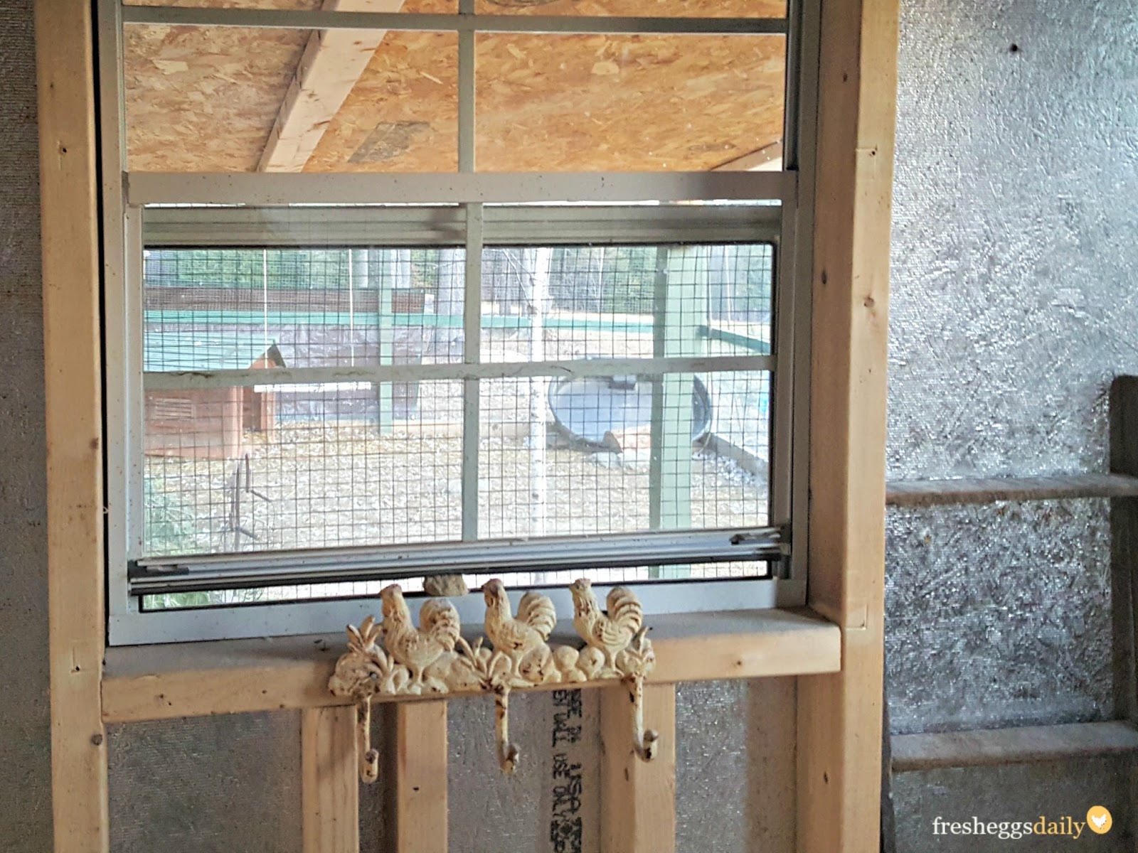 How to Build a Predator-Proof Chicken Run - Fresh Eggs Daily® with Lisa ...