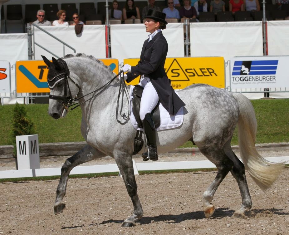 SM Dressur 2014