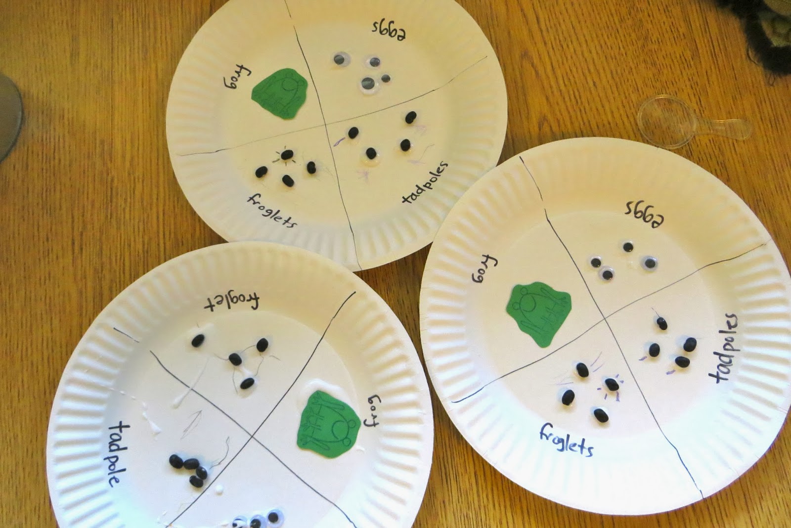 Ms. Sara's Preschool Blog: A Week on Frogs