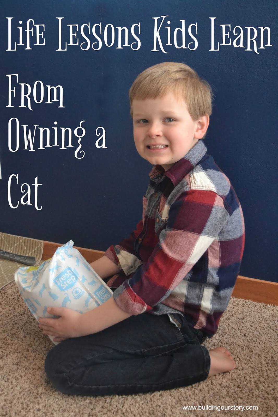 Life Lessons Kids Learn From Owning a Cat - Building Our Story