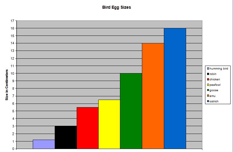 Umamah Learning Academy: An Egg Unit Study