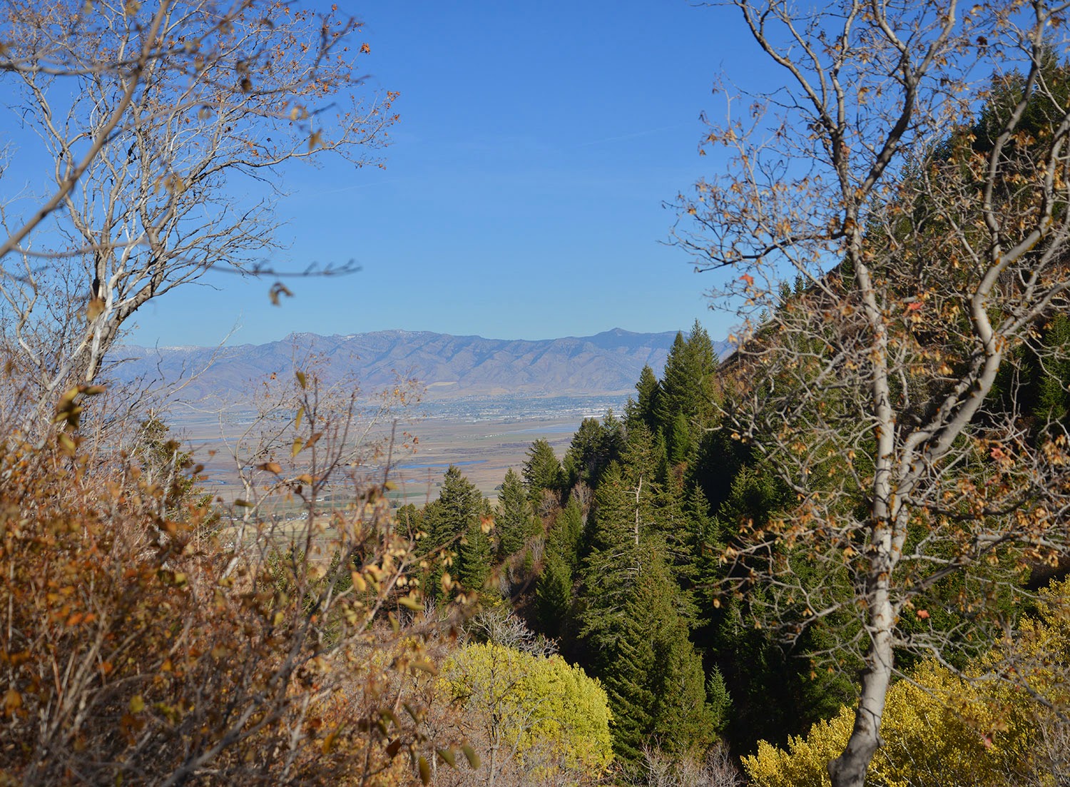 A school of fish: Hiking in Cache Valley