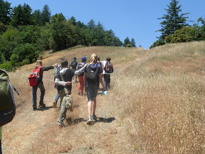 Not A Through Road: Web of Life