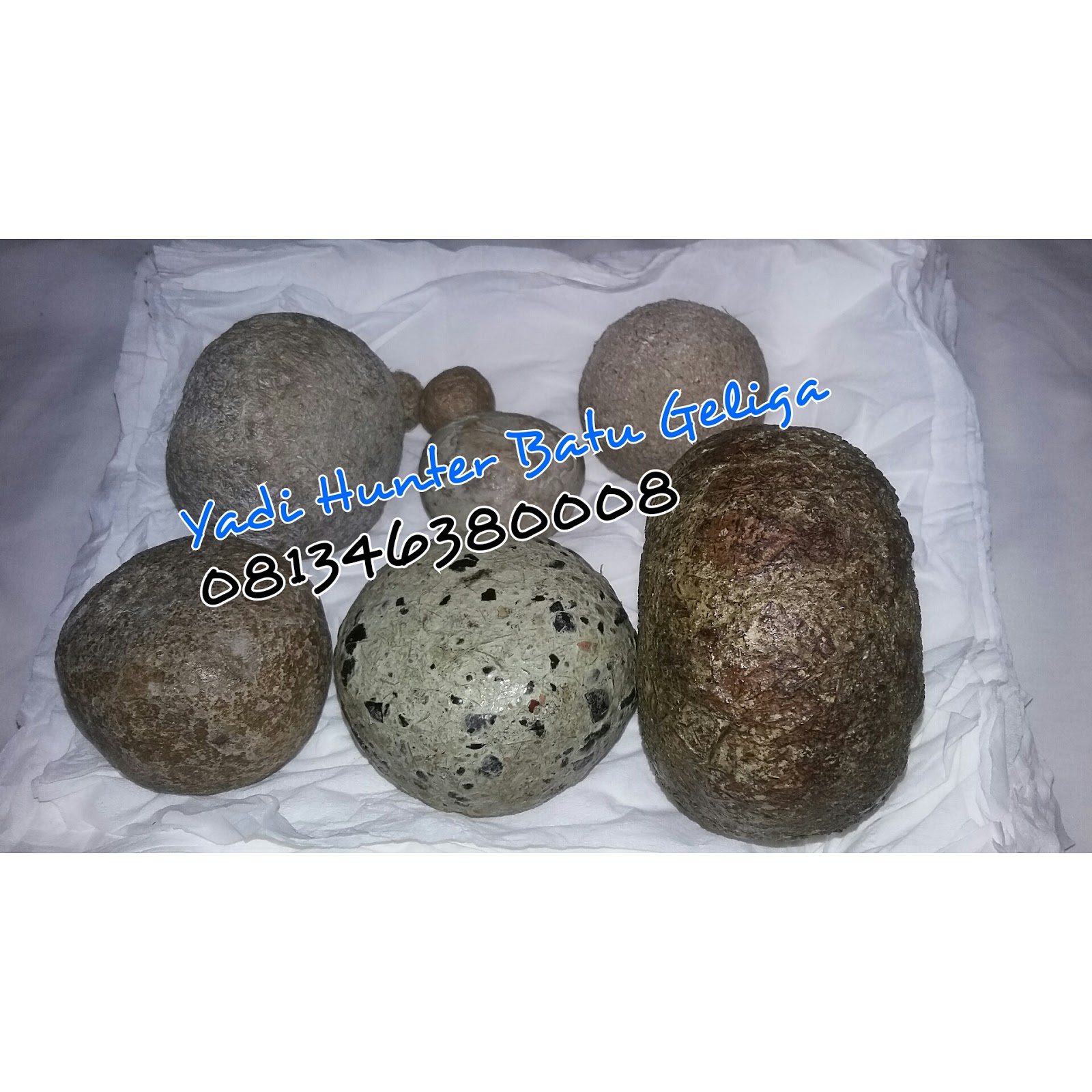 Pembeli Batu Landak ~ Pembeli Batu Landak Yadi Geliga