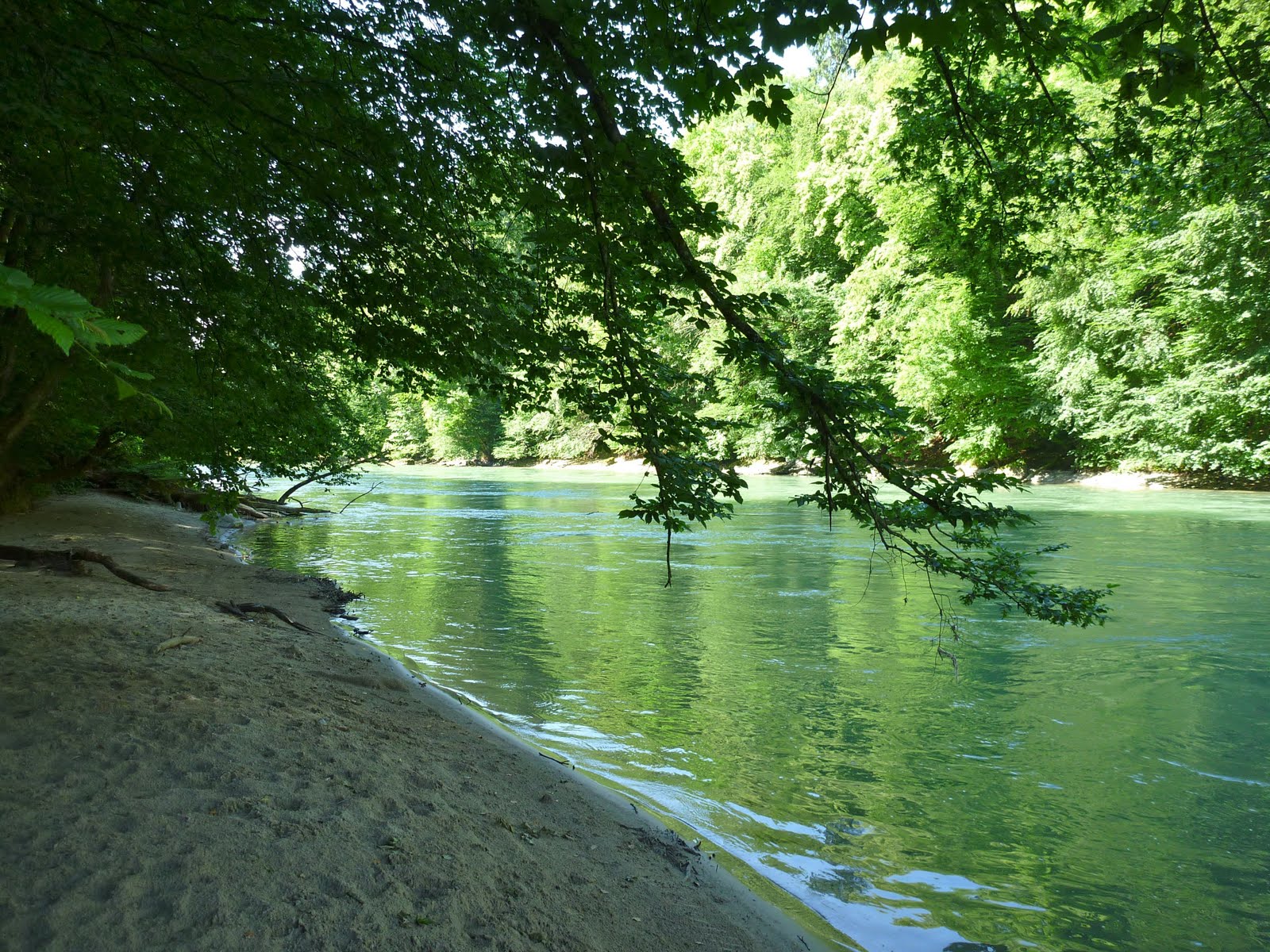 WWW: Die Brücke über die Reuss
