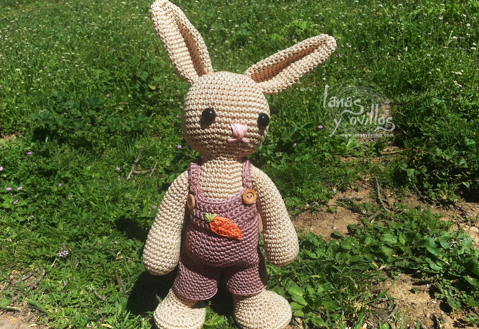 Rabbit colors: Rabbit colors and patterns