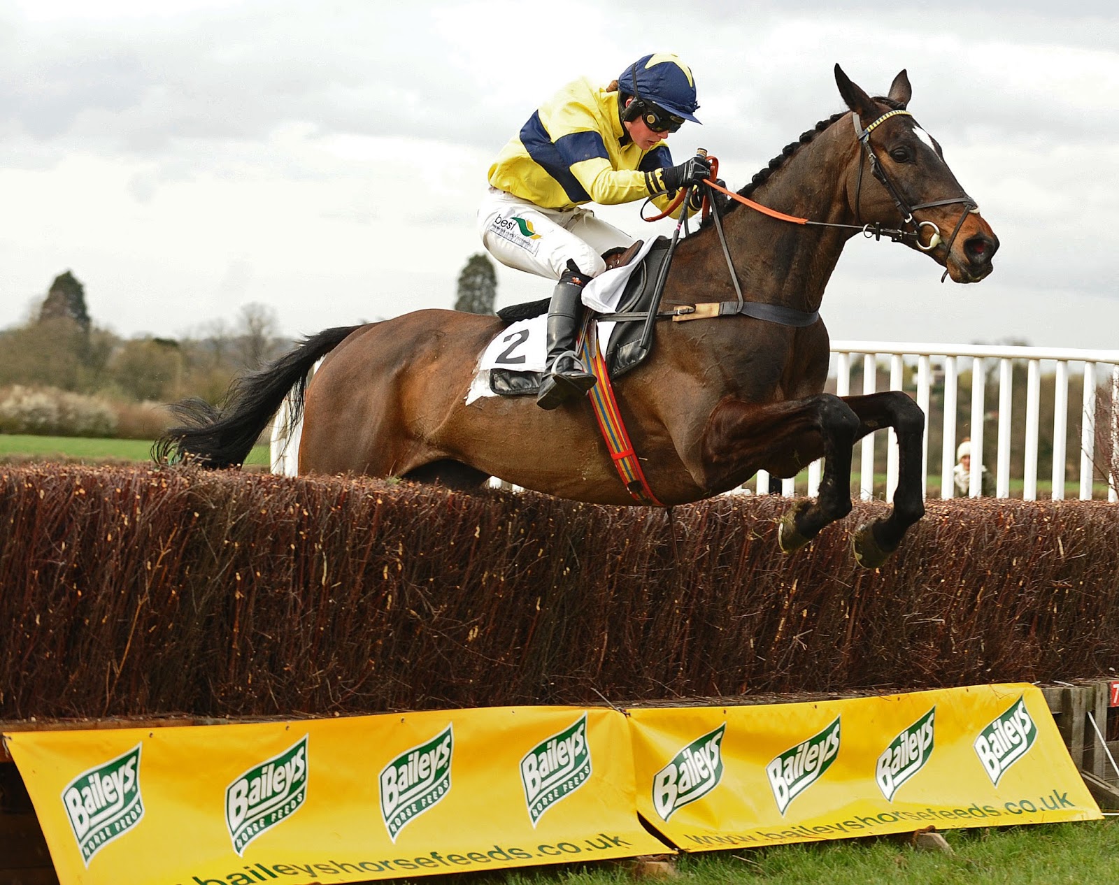www.mjayphotography.co.uk: HIGH EASTER POINT TO POINT, HIGH END RACING ...