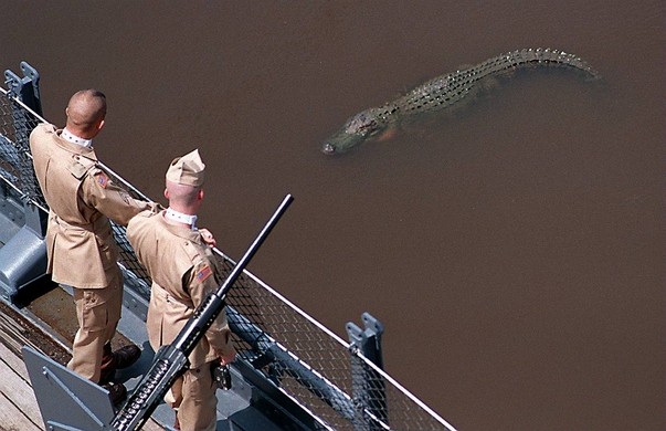 The Drawn Cutlass: USS North Carolina Celebration, Wilmington, NC