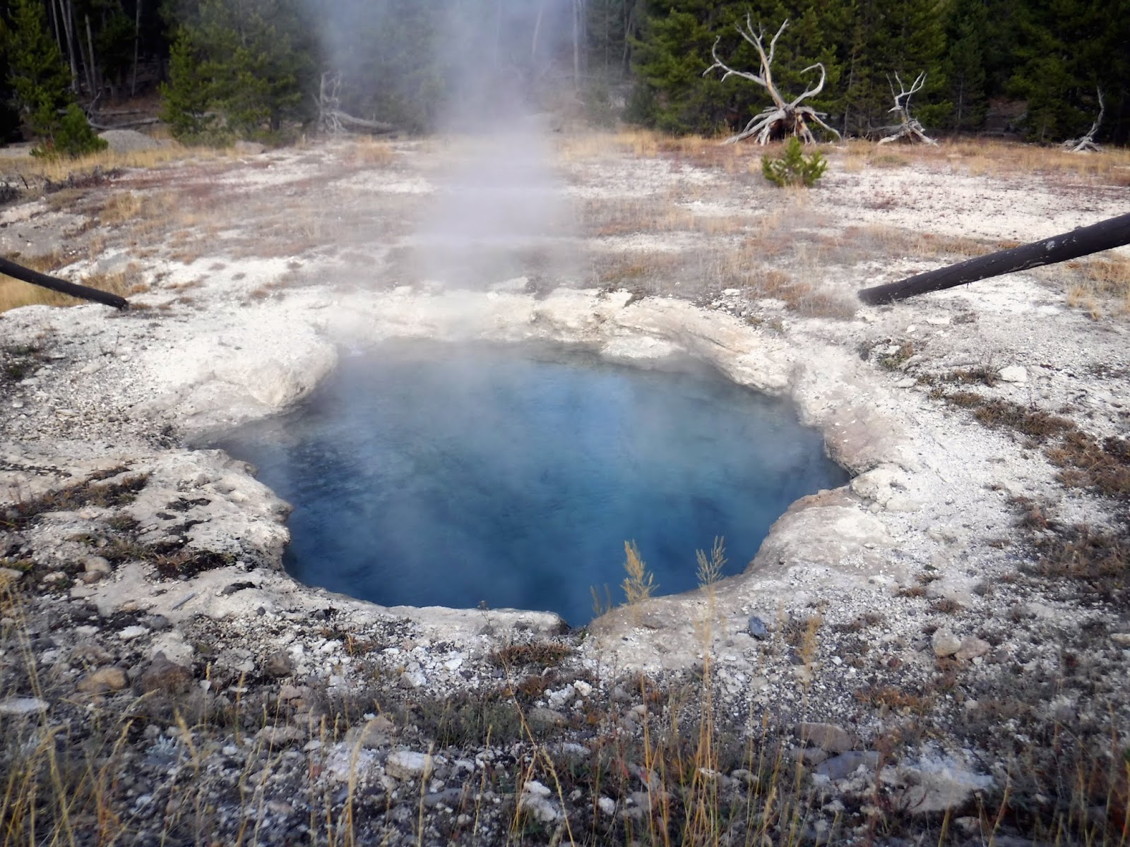 Focusing On Travel : Yellowstone: A Geyser Gazers Guide to the Upper ...
