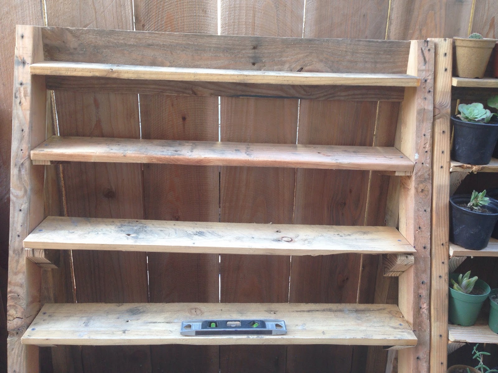 DIY Plant Shelves from Pallets