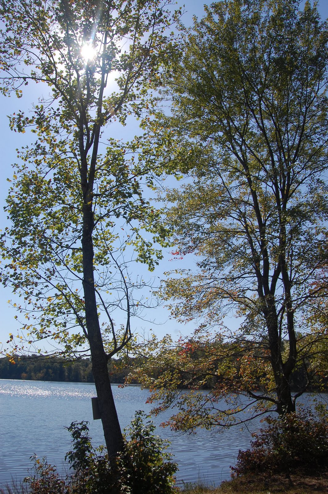 Bong in Virginia: LUNGA PARK IN MARINE BASE QUANTICO, VIRGINIA