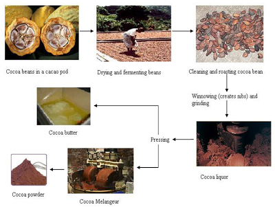 The Production Process From Cocoa Beans To Semi Finished Products