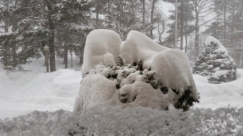 nunblog: It's Snowing (again) in Boston!