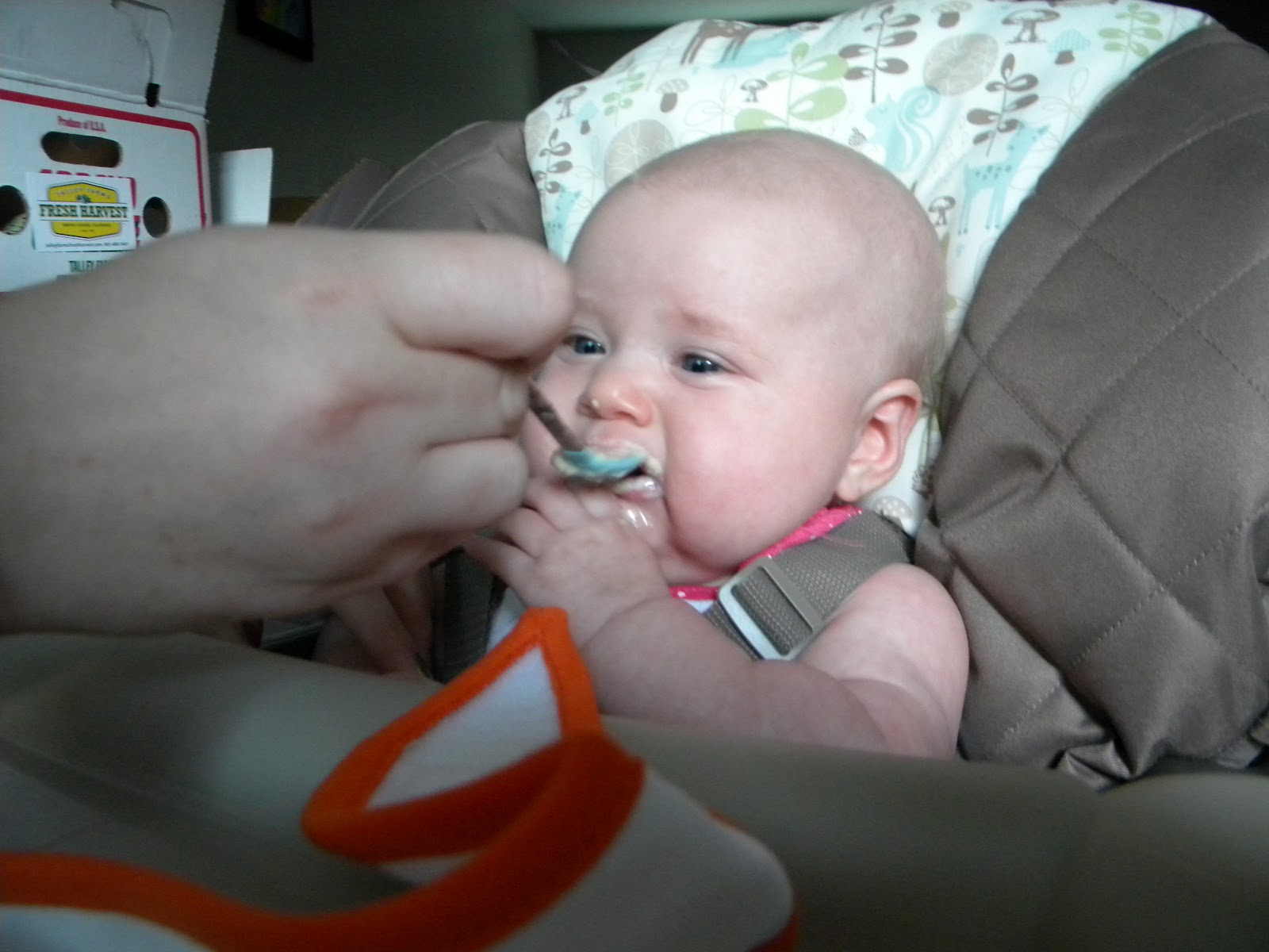 Squishy's Mama: My Child is Skippy Jon Jones