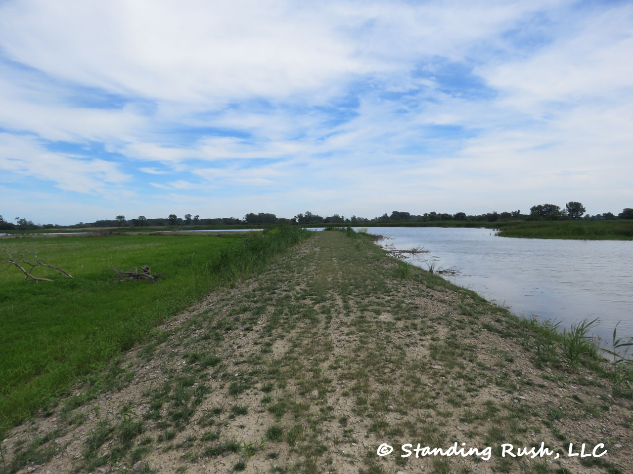 Moment in the Marsh: Good News for the Newly Rehabbed West Marsh Dike