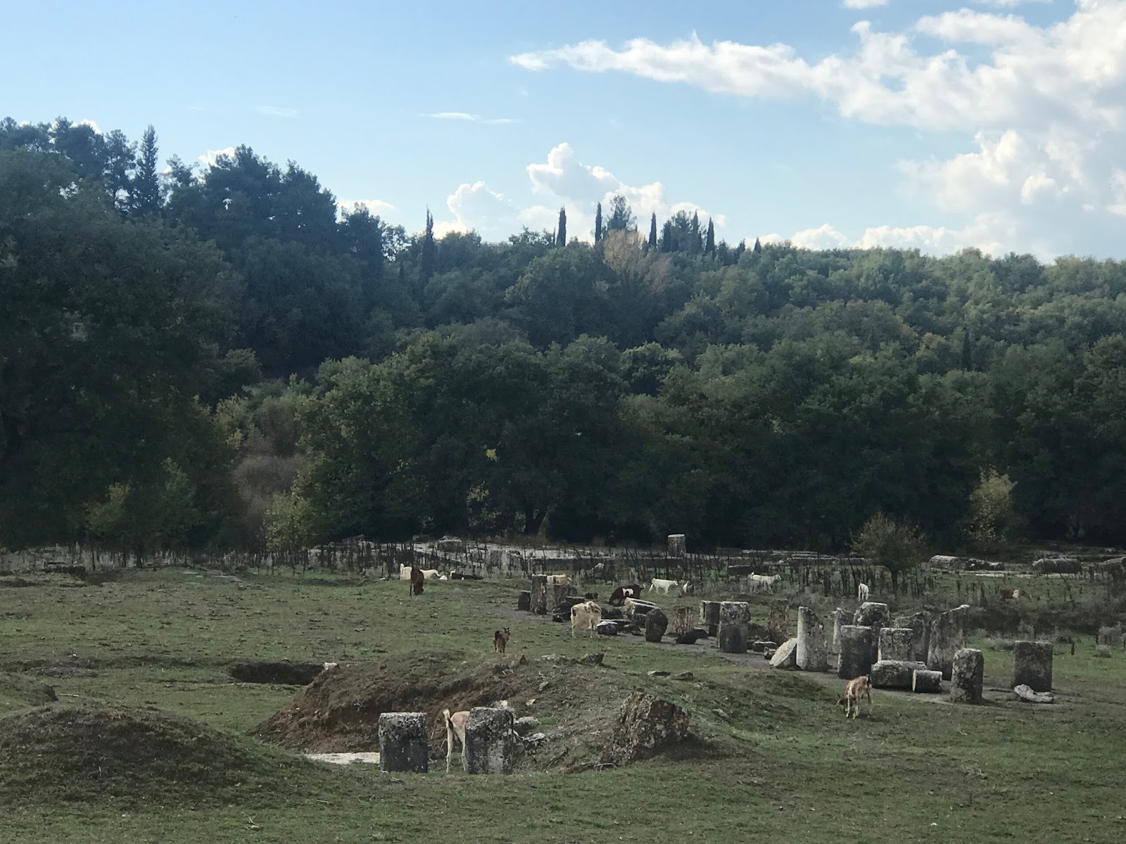 ORTHOLOGIKA: ΓΙΔΙΑ ΚΑΙ ΠΡΟΒΑΤΑ ΣΤΟΥΣ ΑΡΧΑΙΟΛΟΓΙΚΟΥΣ ΧΩΡΟΥΣ ΤΗΣ ...