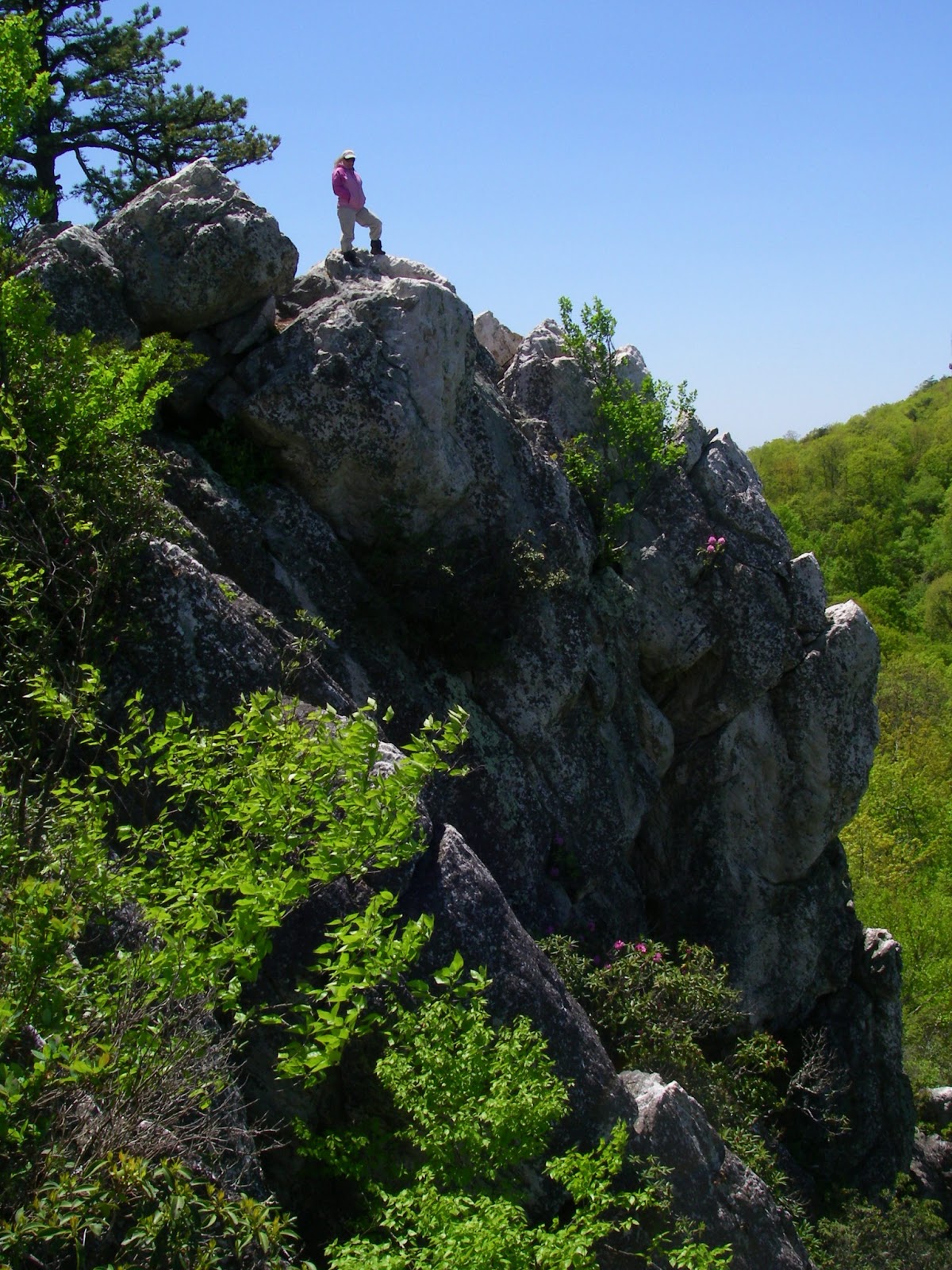 Peaks & Paths: Sand Mountain and High Rocks - My Backyard Treasure