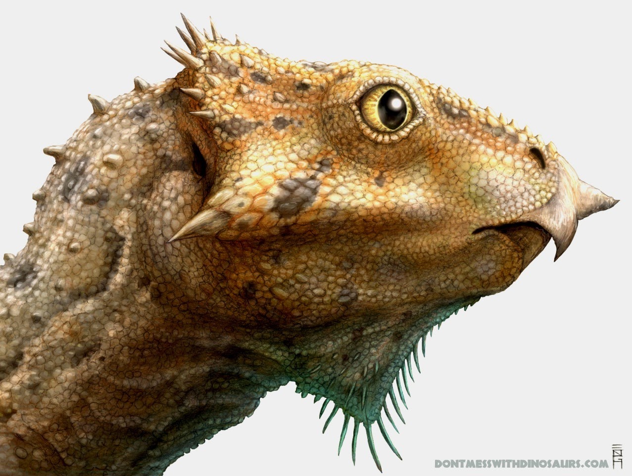 Love in the Time of Chasmosaurs: Introducing Aquilops!