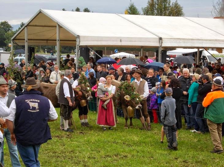 Willkommen in Polschland!: Niemiecka (krowia) piąta pora roku