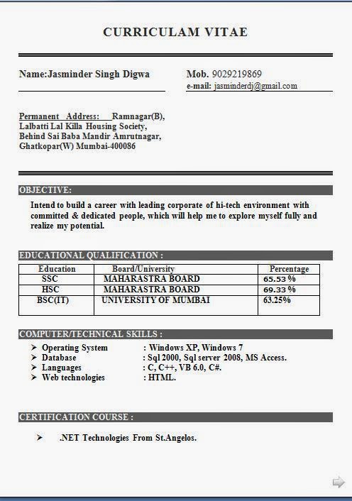 BSC IT Resume Format