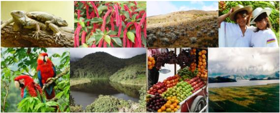 Biodiversidad de Colombia: BIODIVERSIDAD DE COLOMBIA Y SU IMPORTANCIA.