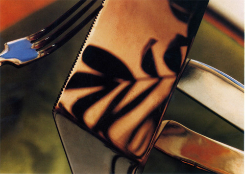 Digital Photography: Jan Groover