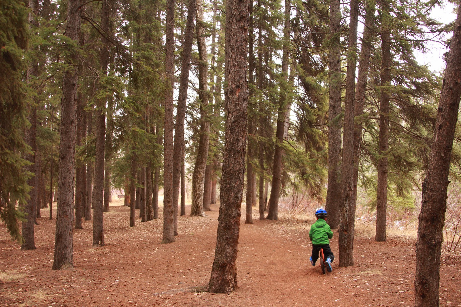 Family Adventures in the Canadian Rockies: Kids on Wheels - 10 Tips to ...