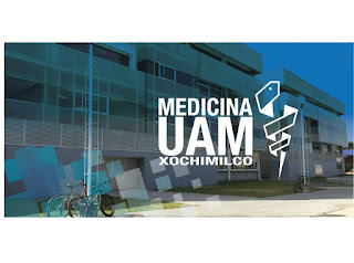 El plan de estudios de medicina en la UAM Xochimilco y el Sistema Modular