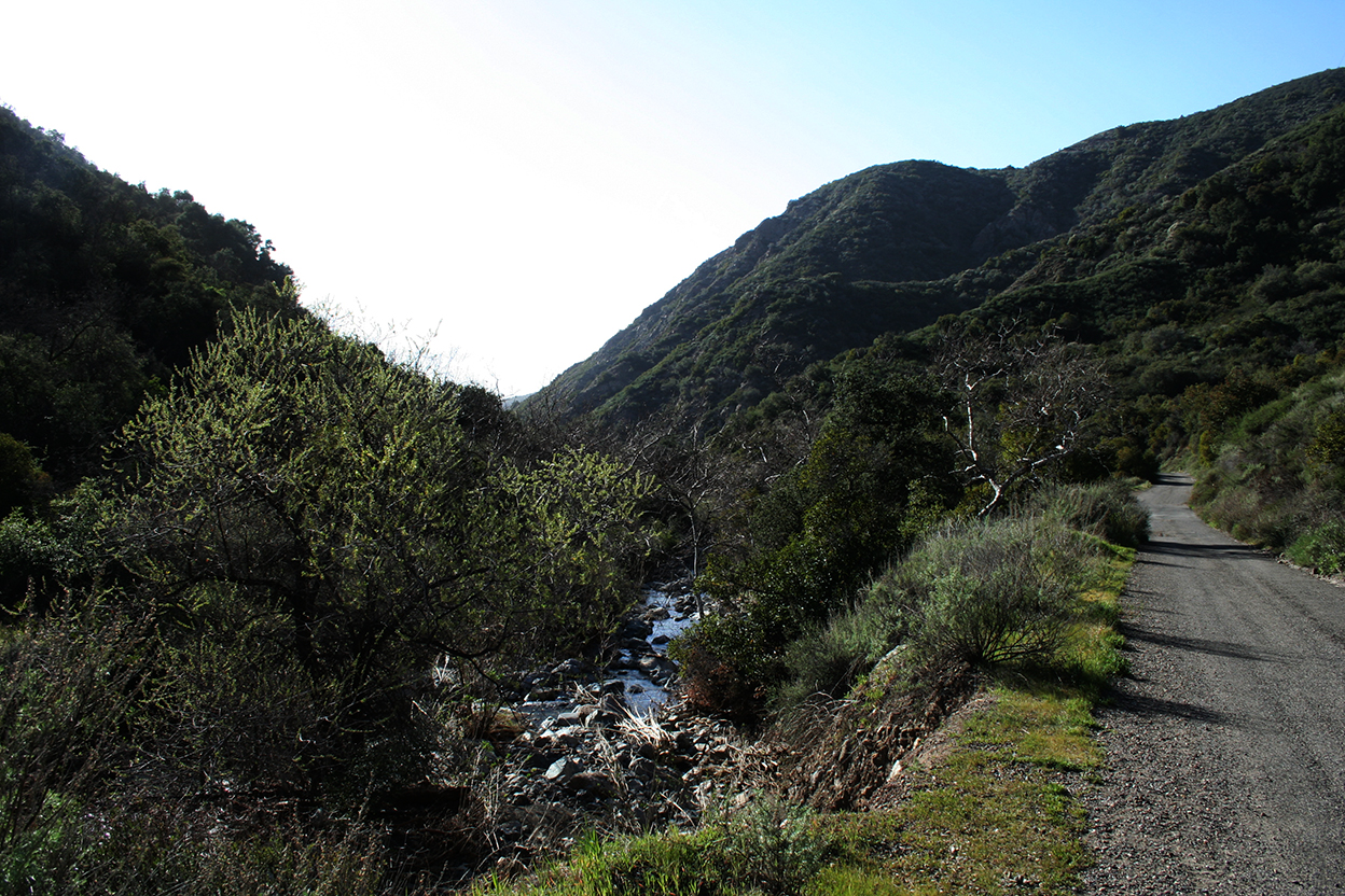 Silverado Canyon