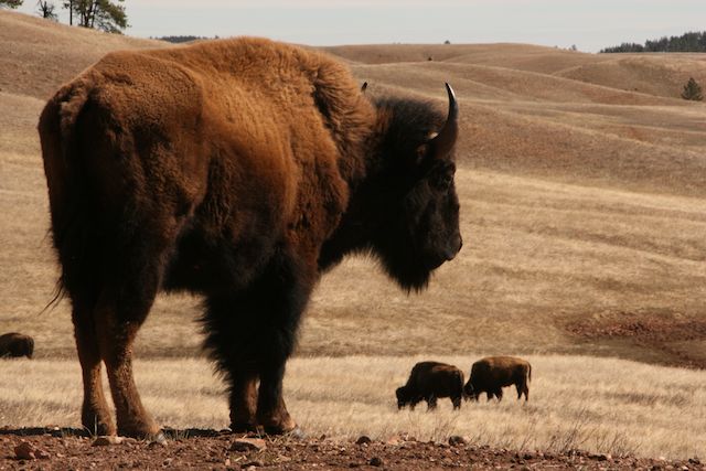 Enjoying spring - Naturally North Idaho