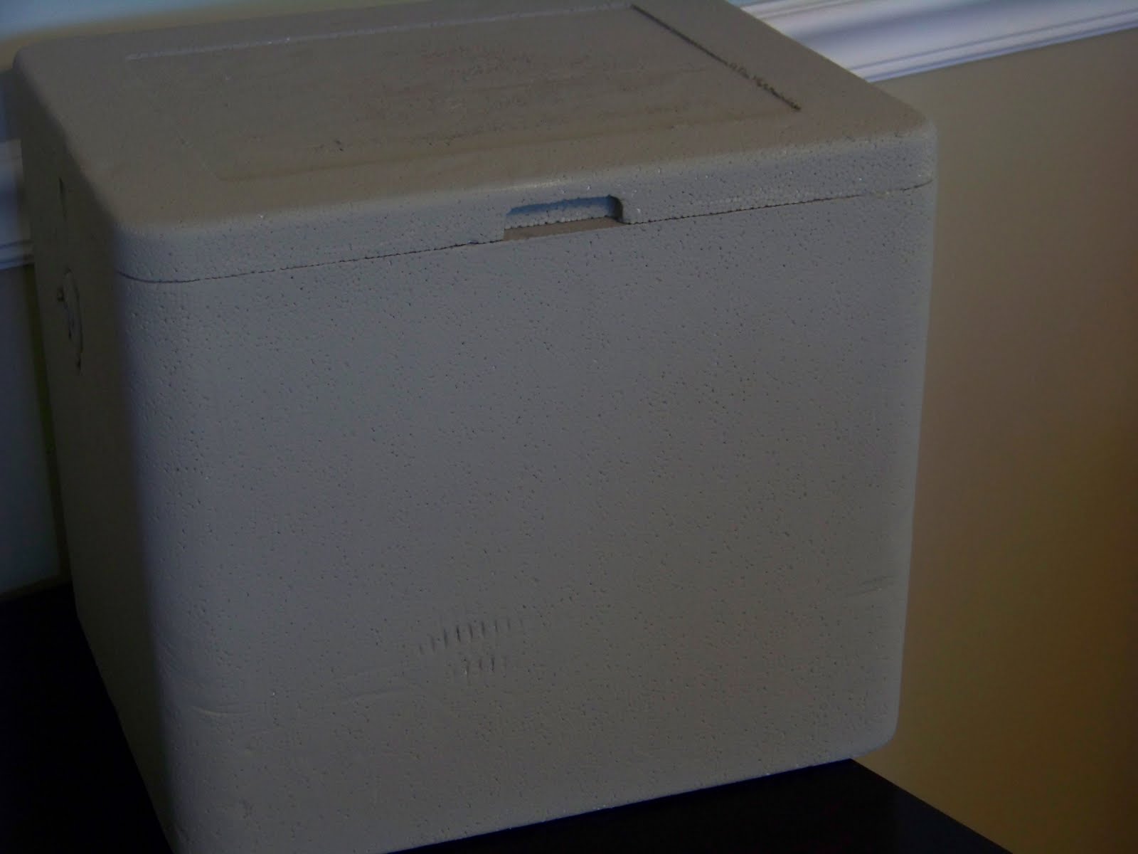 Whimsically Homemade: Masquerade Tutorial - Tombstone Ice Chest