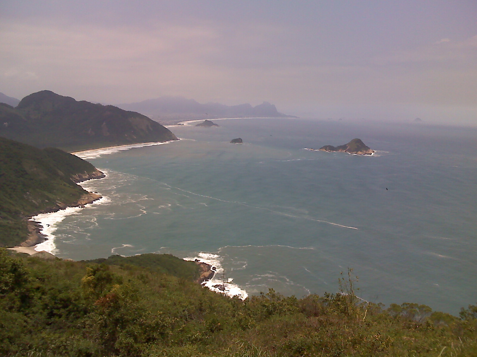 Restinga De Marambaia