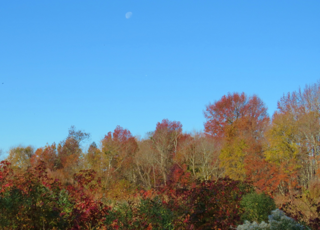 Gone Hikin': Prime Hook National Wildlife Refuge, DE