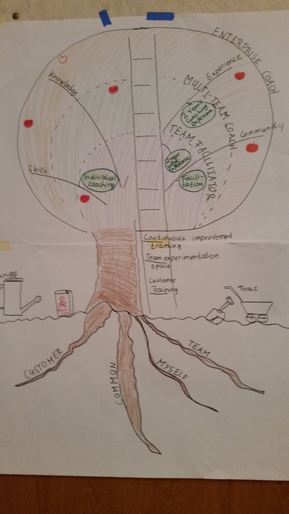 Agile Dogma: Creating an Internal Agile Coaching Capability