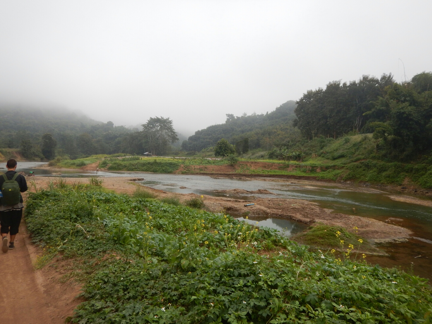Jungle trekking in Laos