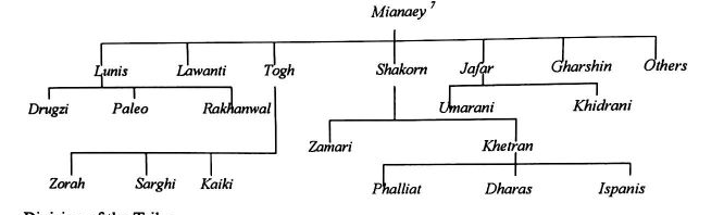 History of Pashtuns: Jafar tribe