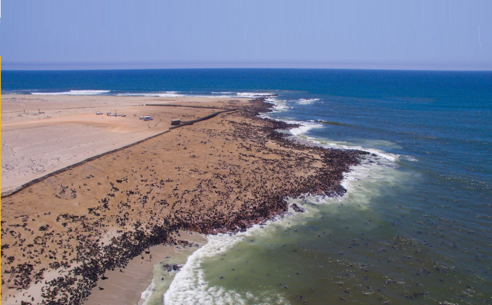 tropicalia: " padrão do Cabo da Serra/Cruz, Cape Cross