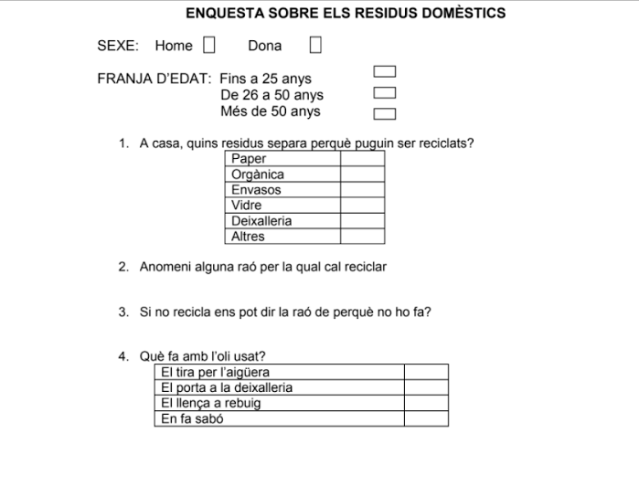 DISSENY ENQUESTA I FER INFORME