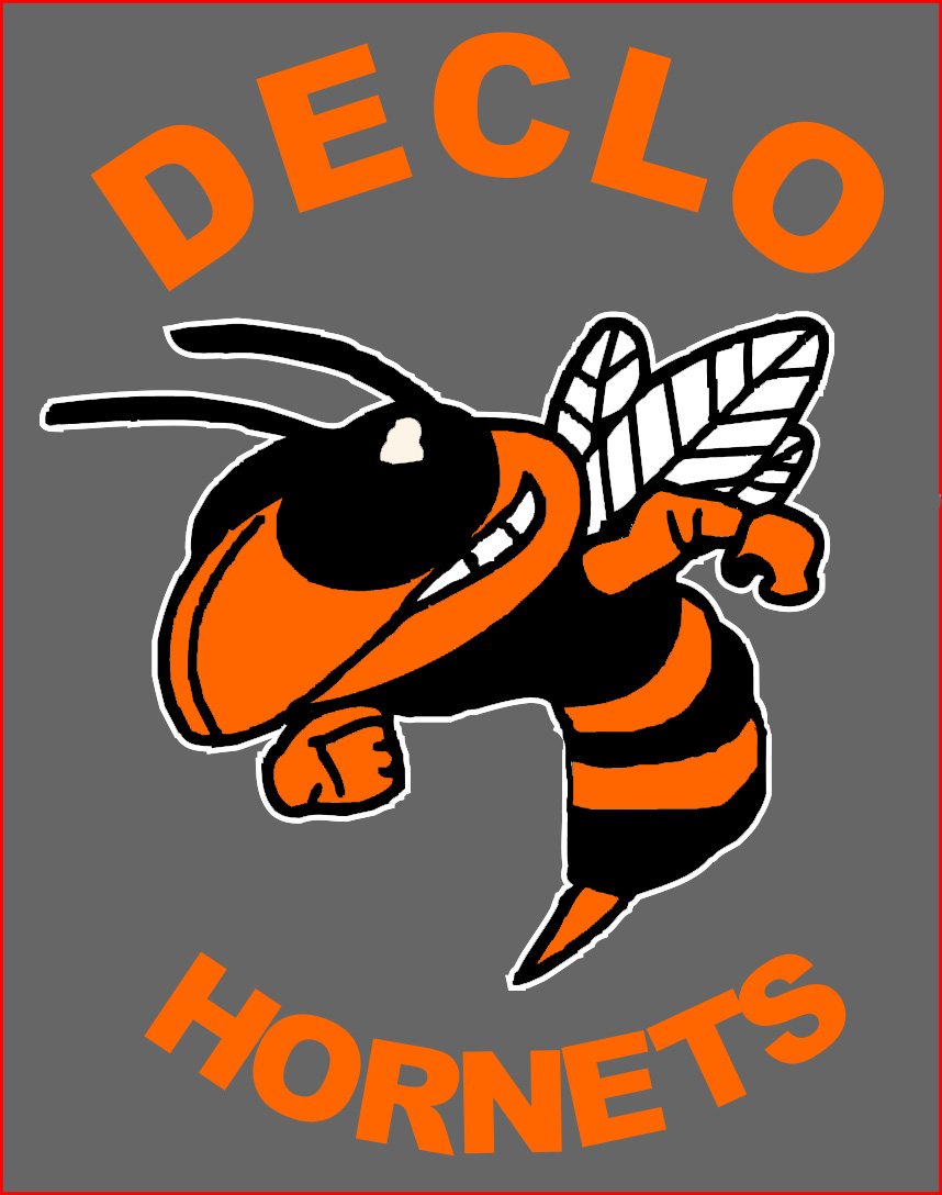 Declo Hornet Wear: Hornet for Sweatshirt