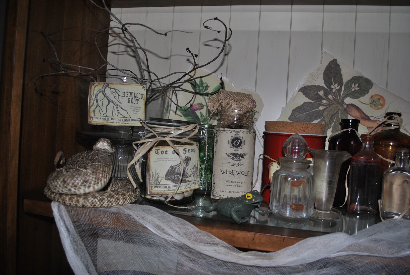 Serendipity's Library