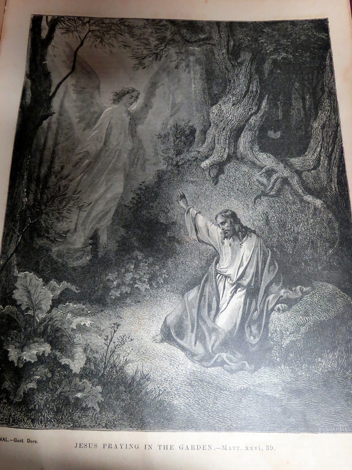 Live on the Edge of a Miracle: Dictionary of the Bible; William Smith ...