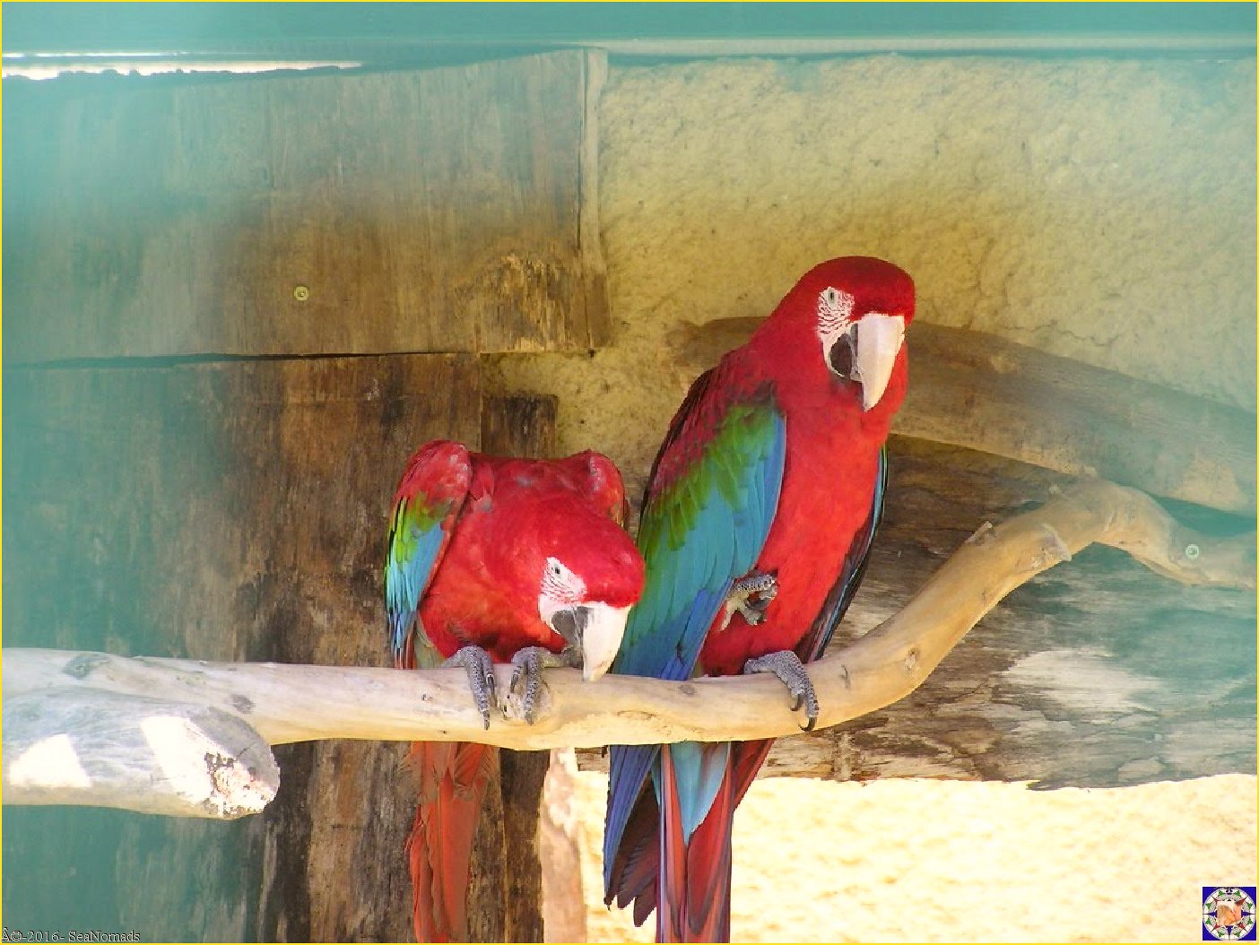 World Citizen: Ambrakischer Golf Segeln & Erlebnisse, Nicopolis / Preveza