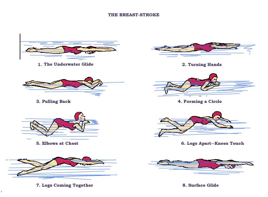 ITE 3543 E LEARNING WHAT ARE THE SWIMMING STROKES