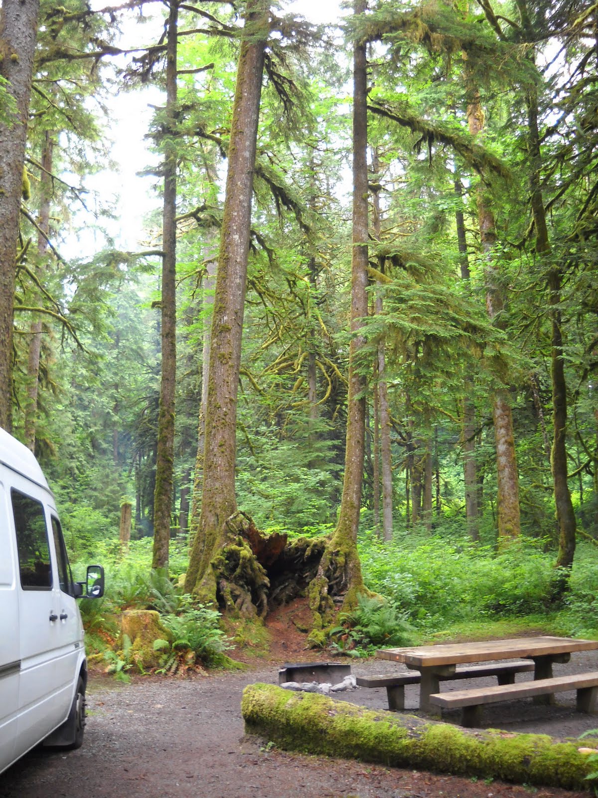 Park Sprinting 2011: Day 1 & 2: Turlo campground in Mt. Baker ...