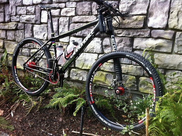 The Monkey Lab: Ultralight, Rohloff-Equipped Cannondale Flash Mountain Bike