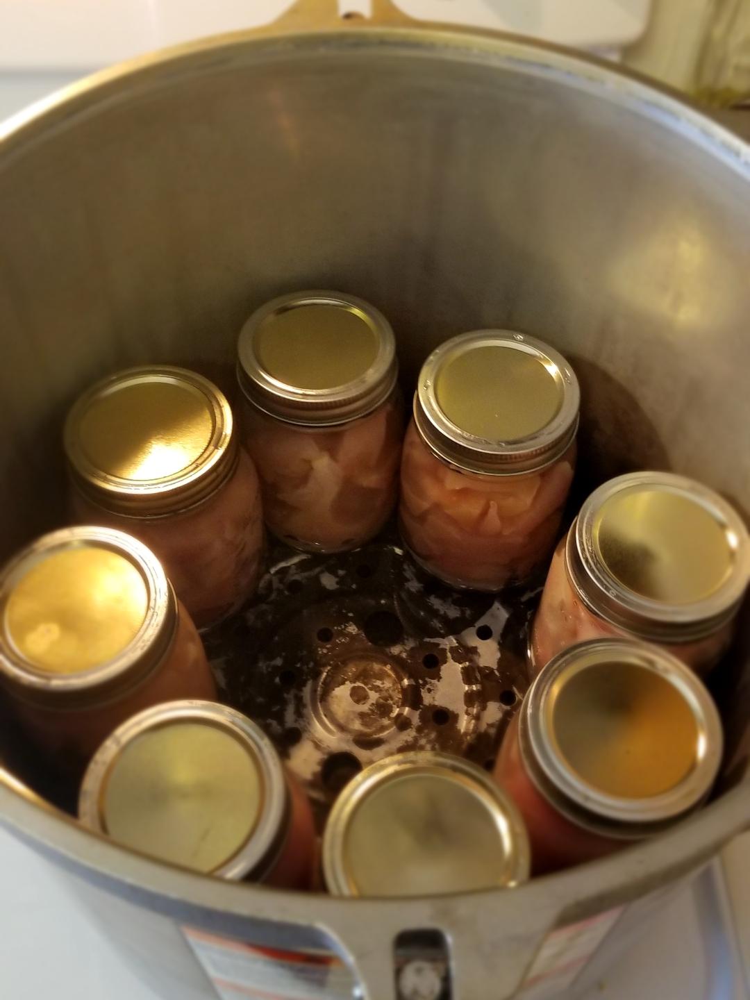 HOW TO CAN CHICKEN AND WAYS TO USE IT