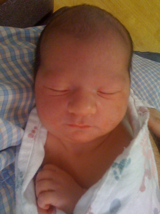 Naturalized Mainstream Mama: Monkey's Birth: The Beginning of My ...