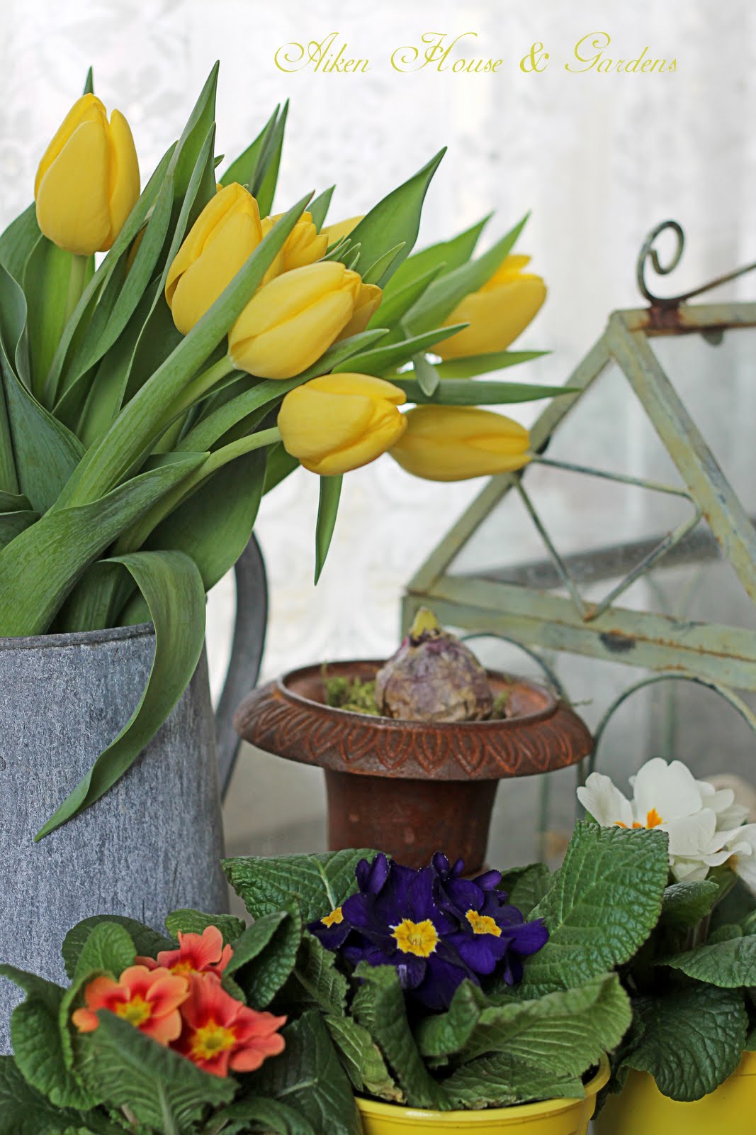 Aiken House & Gardens: Indoor Spring Garden